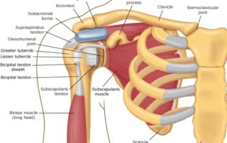 Ask Dr. Gobezie - The Cleveland Shoulder Institute