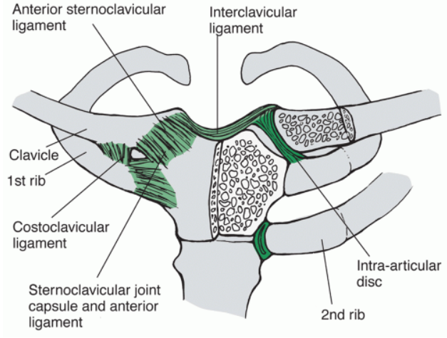 Does Your Shoulder Click, Pop, Catch or Snap? - Cleveland Shoulder